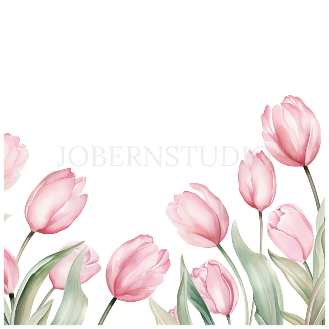 Tulips Flower Border Clipart Bundle 12 High Quality PNG, Watercolor ...