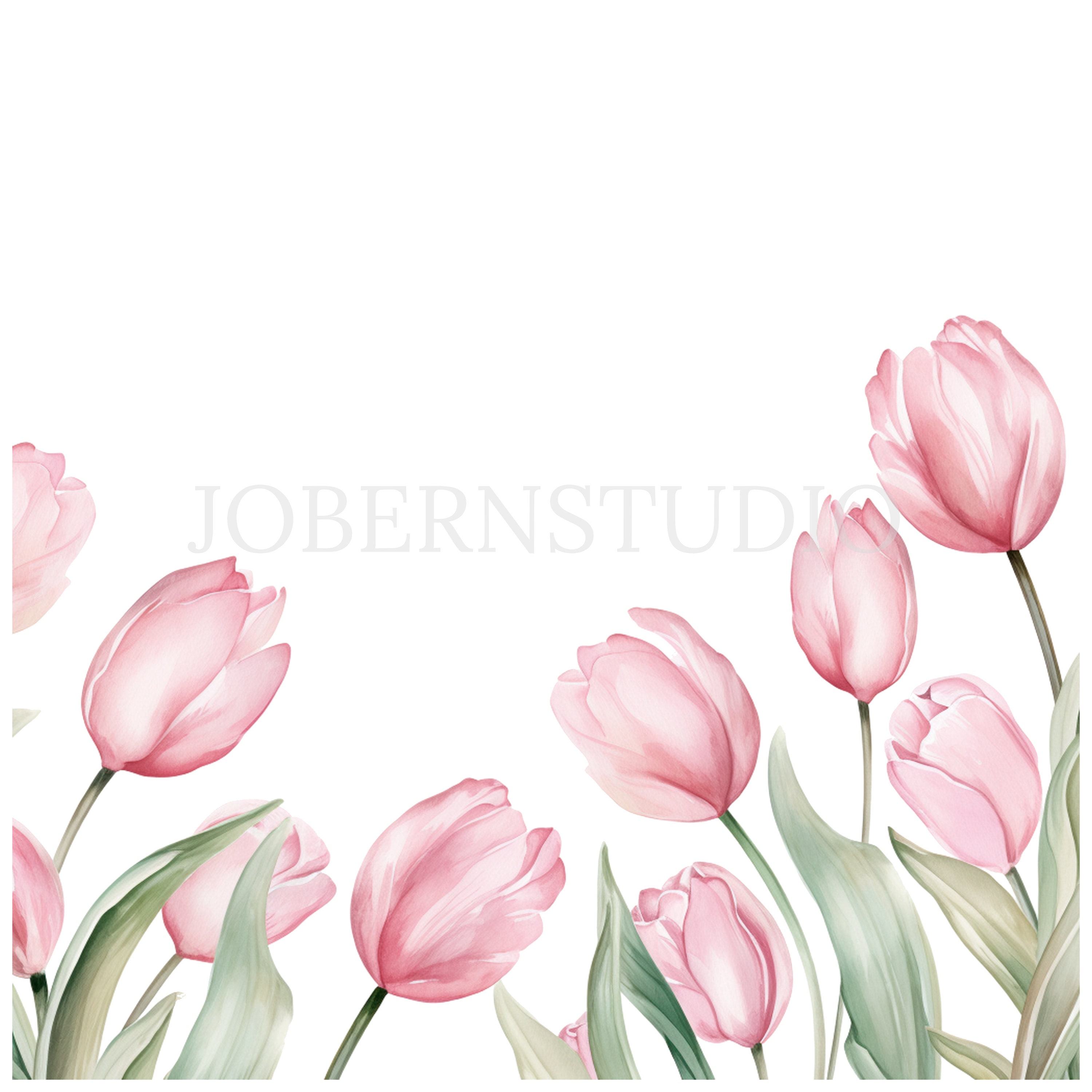Tulips Flower Border Clipart Bundle 12 High Quality PNG, Watercolor ...