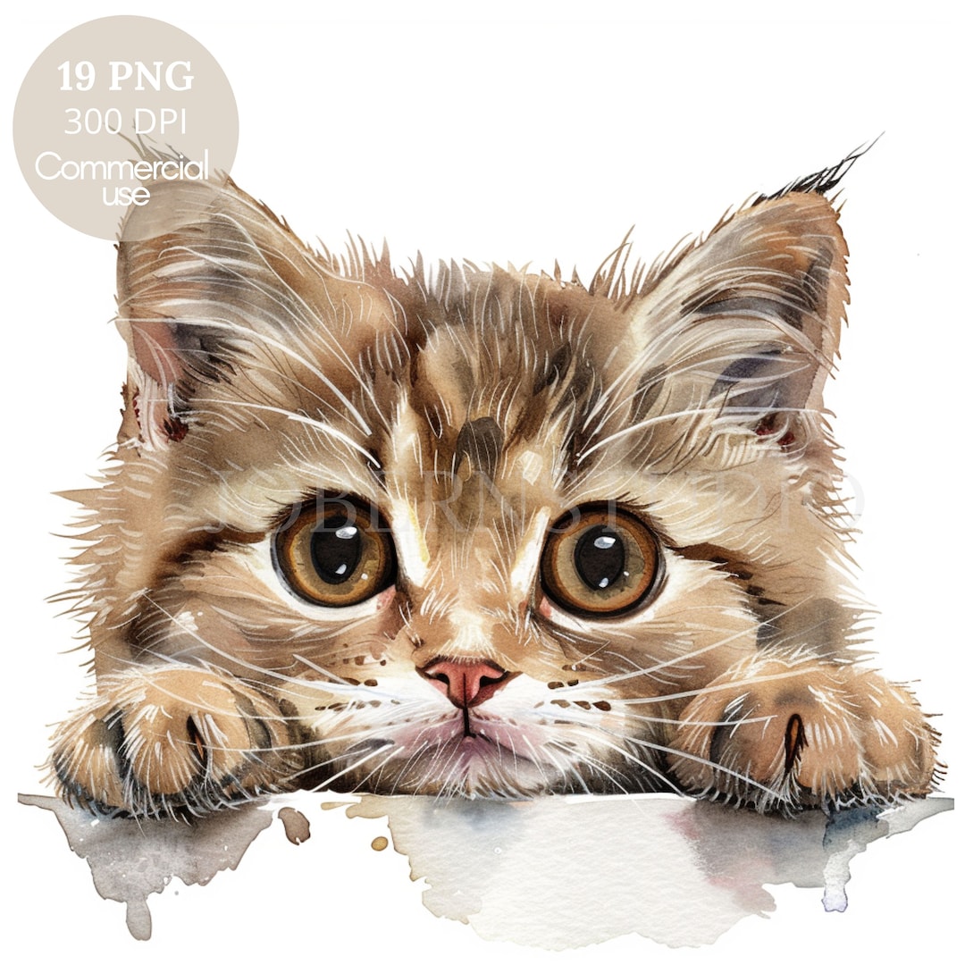 Watercolor Funny Cats Clipart PNG Bundle 19 High Quality Png,crazy Cute ...