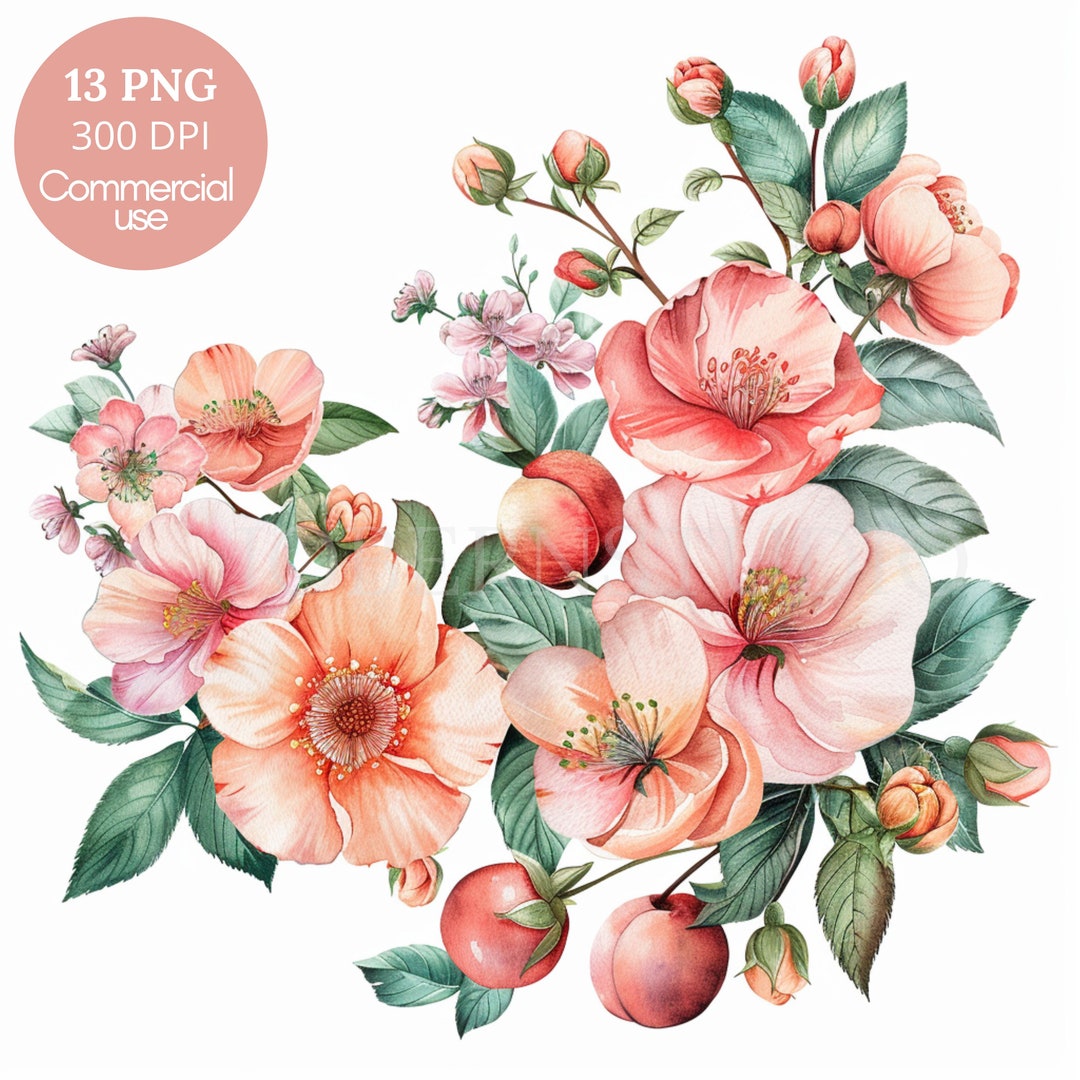 Peach Flower Garland Clipart Bundle 13 High Quality Png,watercolor ...