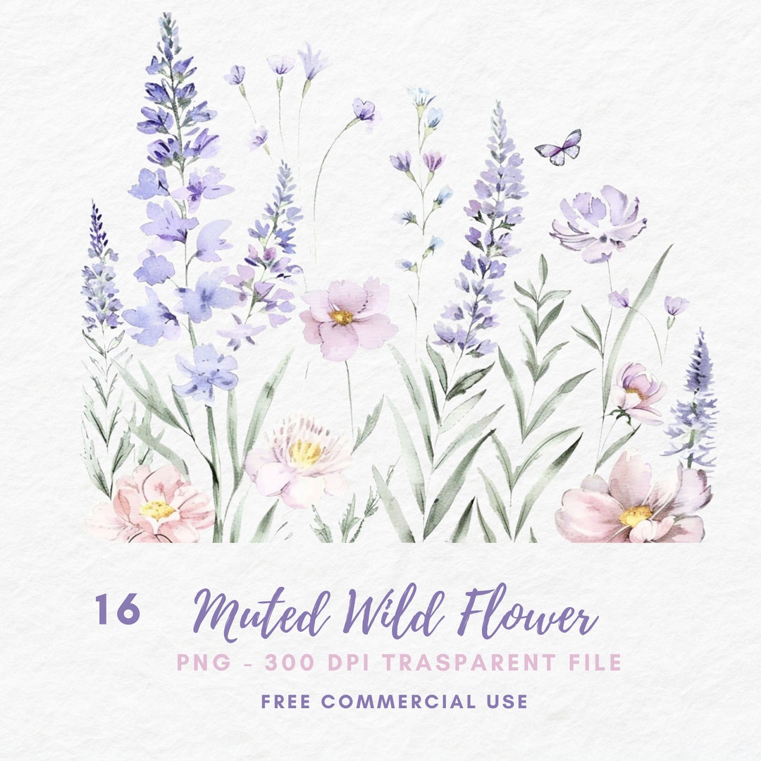 Muted Wild Flower Border Clipart Bundle 16 High Quality Png,watercolor ...