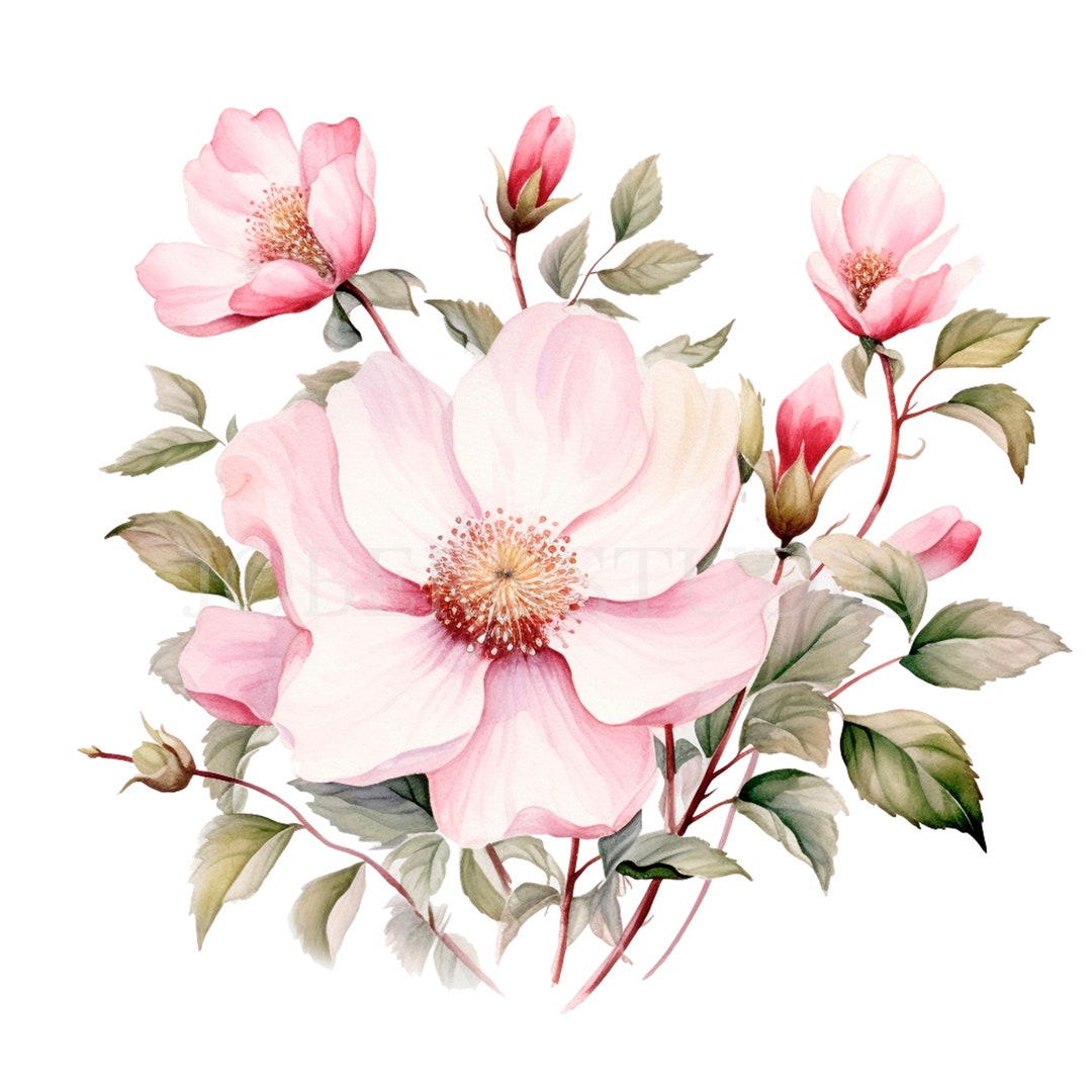 Rose Garland Clipart Bundle 14 High Quality Png,watercolor Floral ...