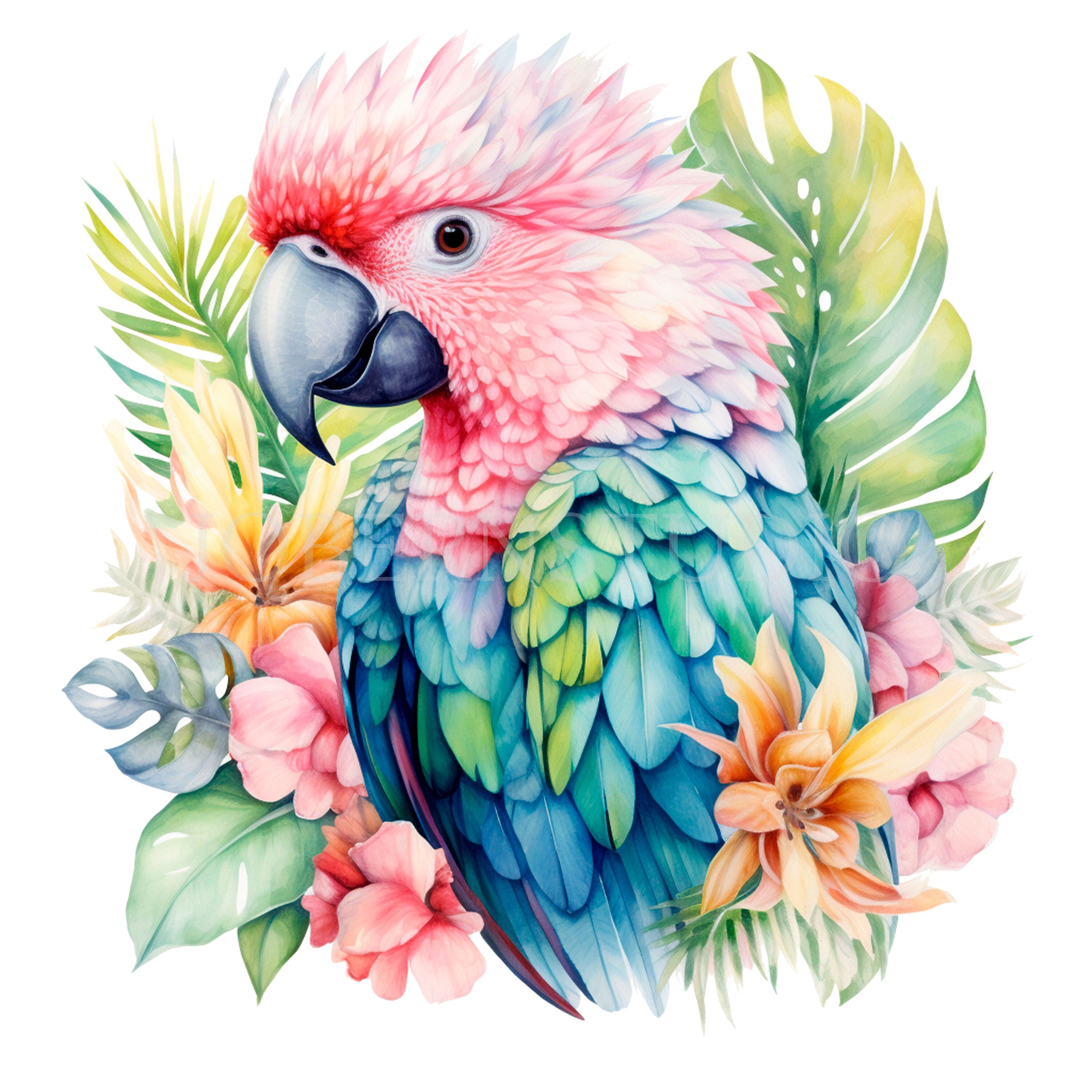 Parot Clipart PNG Bundle 15 High Quality Jpg,watercolor Tropical Bird ...