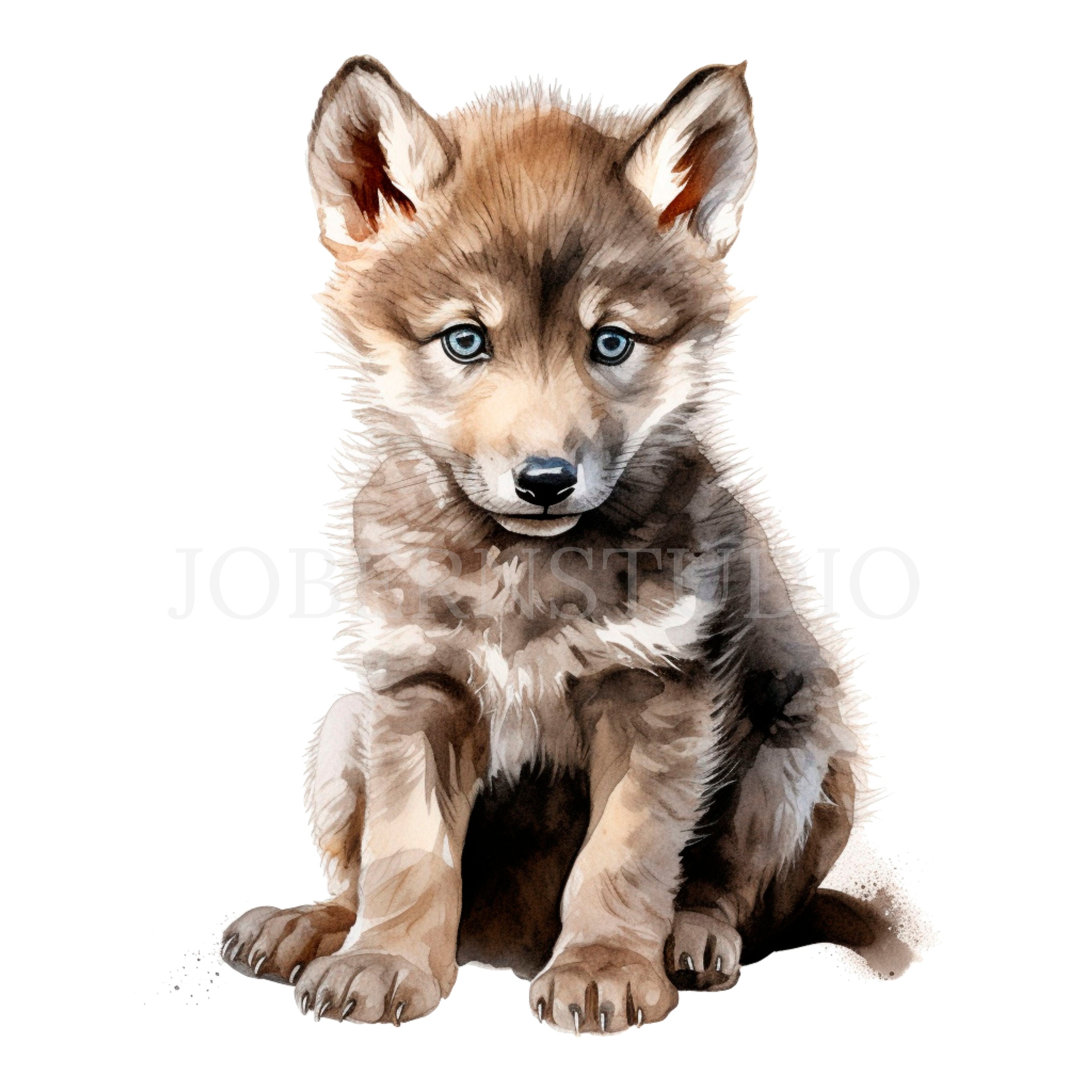 Baby Wolf Clipart Png,bundle 15 High Quality Jpg,digital Download ...