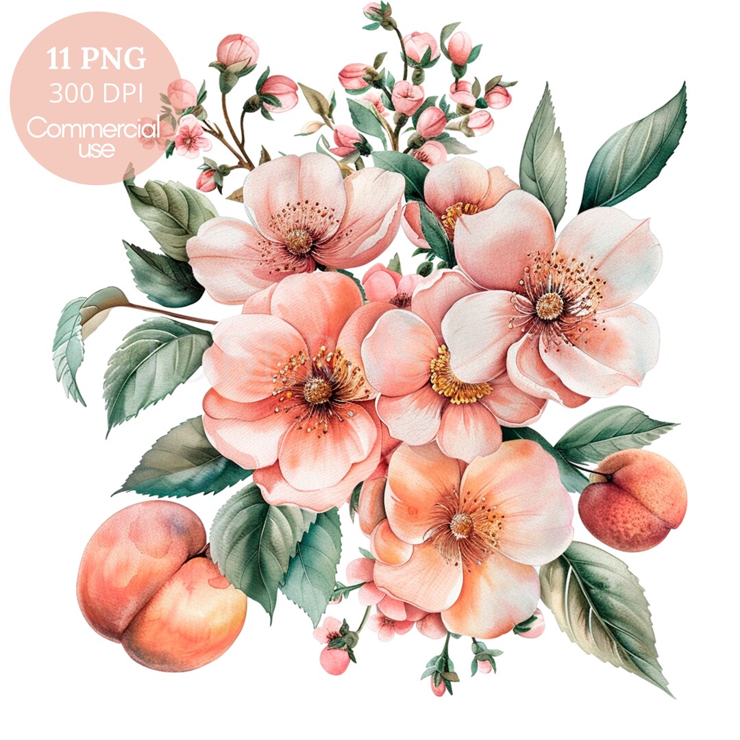 Peach Rose Branch Garland Clipart Bundle 11 High Quality, Watercolor ...