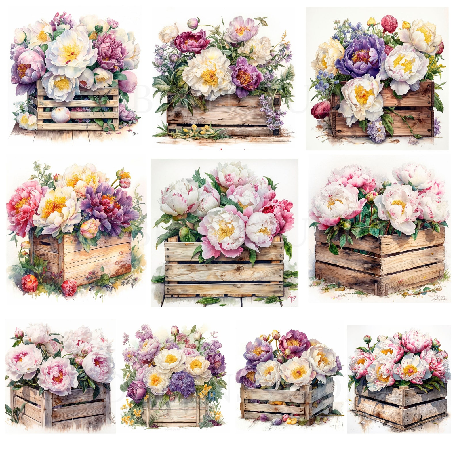 Box Flower Clipart Bundle 10 High Quality PNG, Watercolor Flower ...