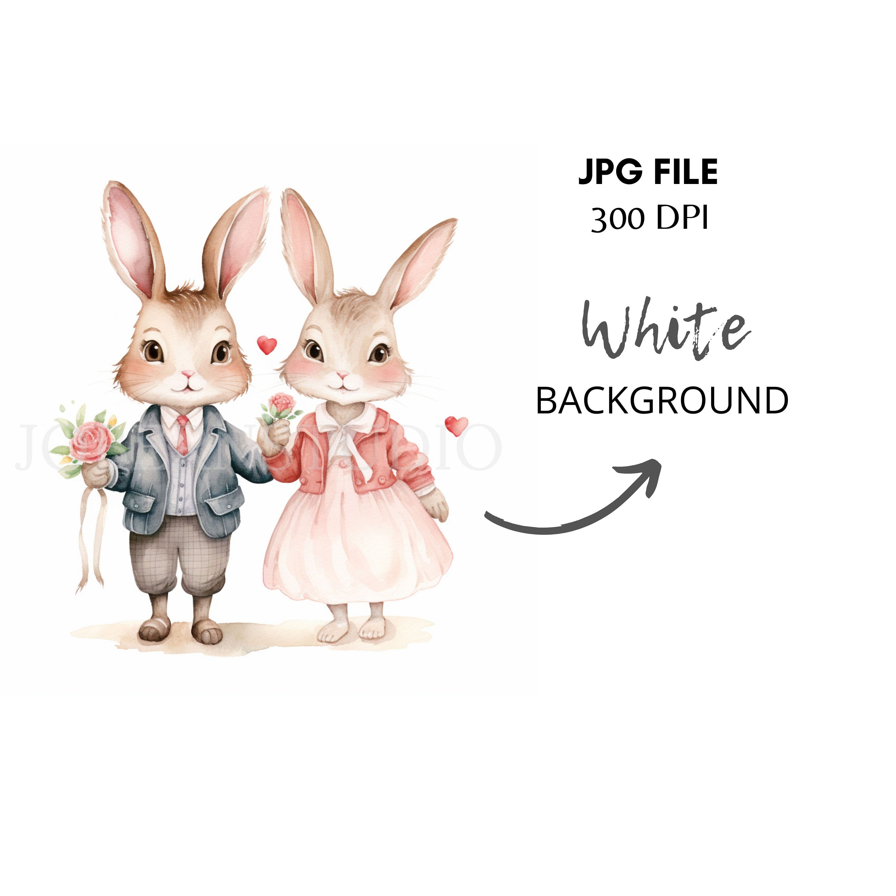 Valentine Bunny Clipart PNG Bundle 10 High Quality Jpg,watercolor ...