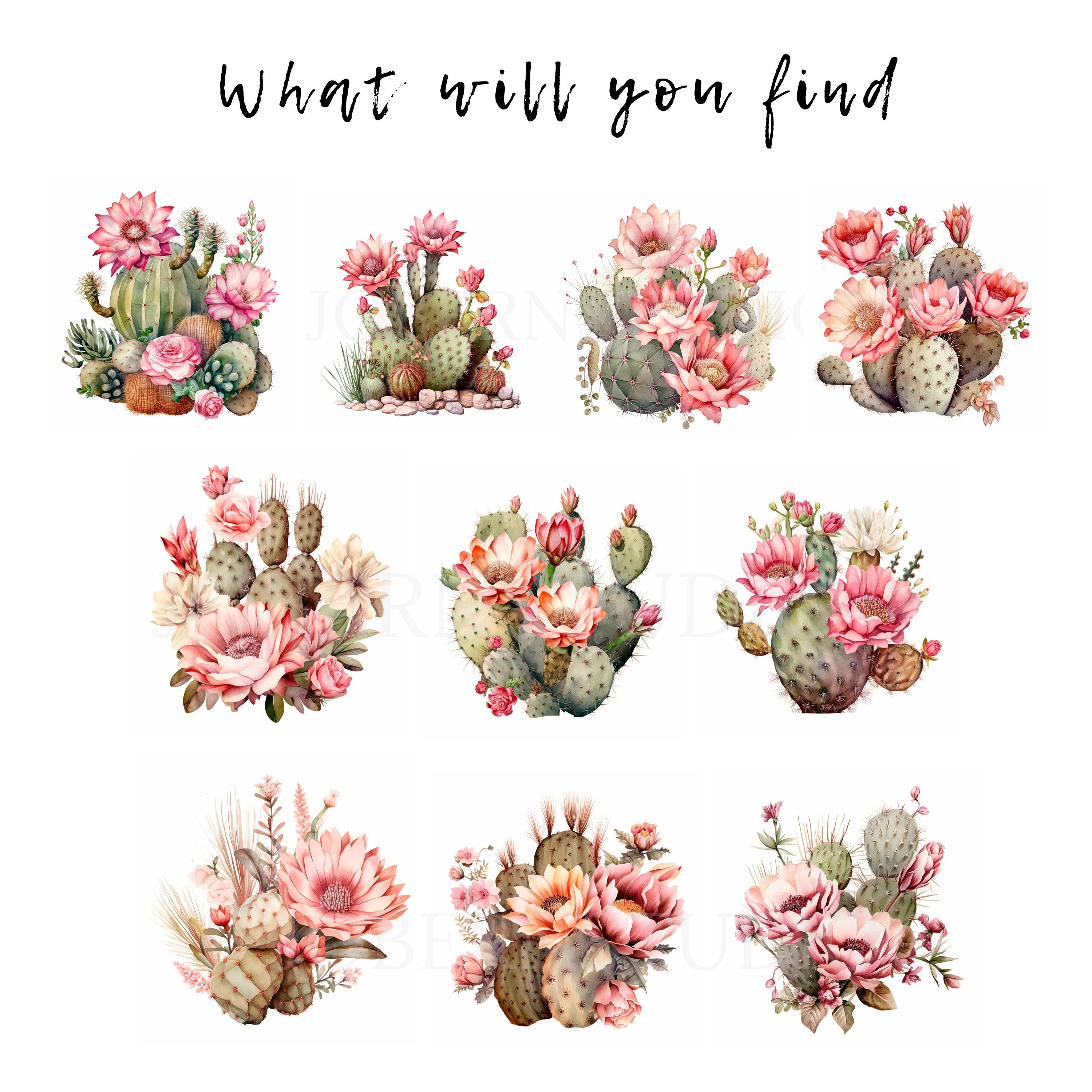 Pink Cactus Clipart Bundle 10 High Quality JPG ,watercolor Home Decor ...