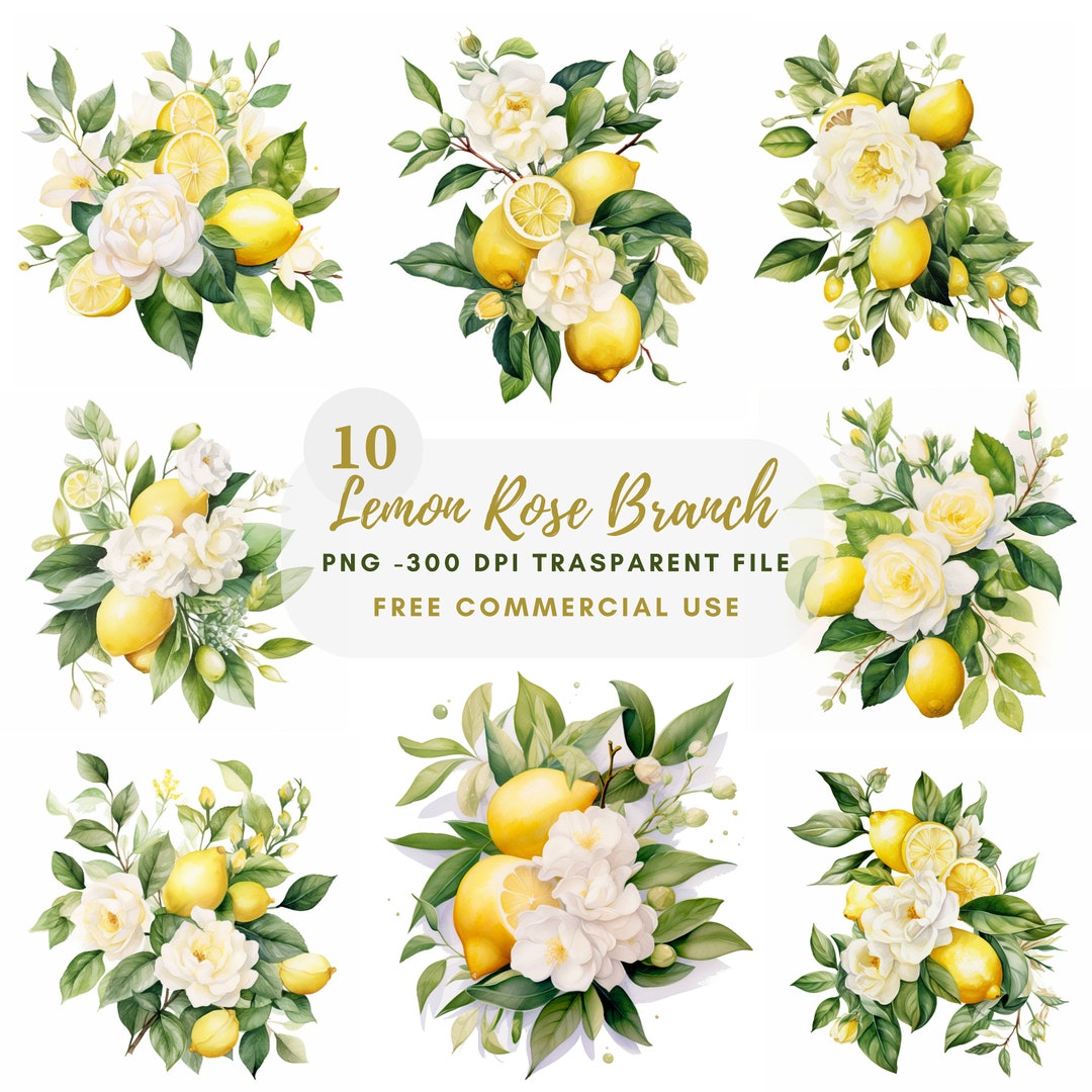 Lemon Rose Branch Garland Clipart Bundle 10 High Quality, Watercolor ...