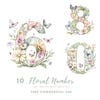 Watercolor Pink Roses Numbers Clipart: Commercial Use PNG (digital ...