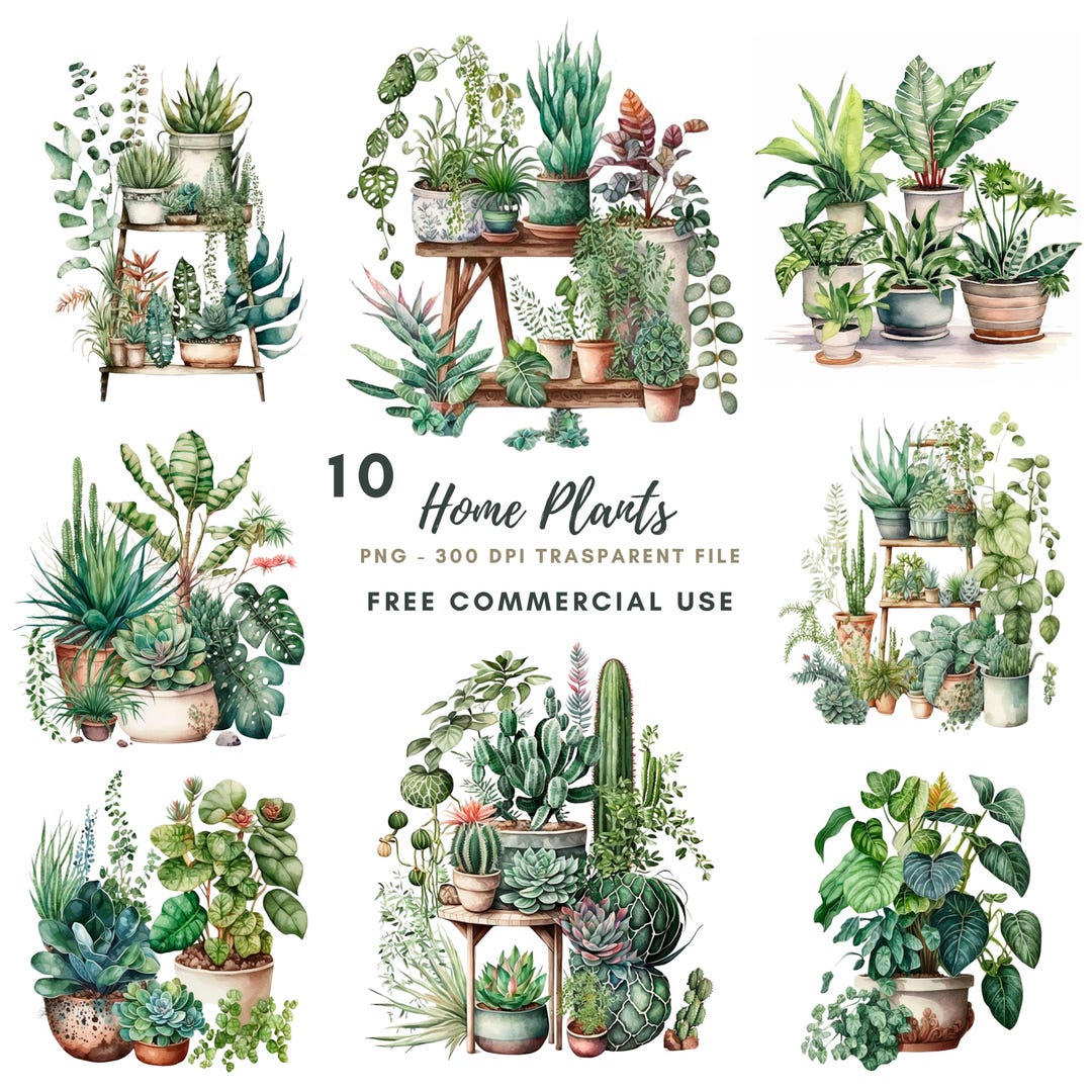 Plants Clipart Bundle 10 High Quality Png,watercolor Plants Home Decor ...