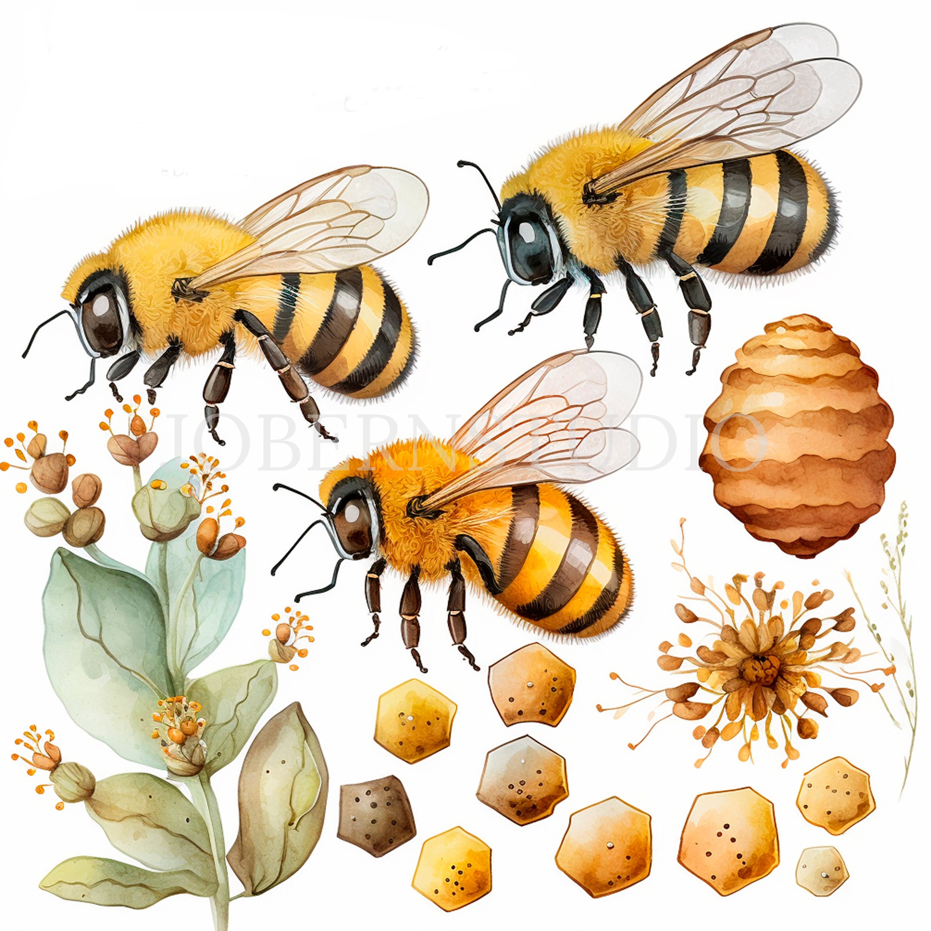 Bees and Honey Clipart PNG Bundle 13 High Quality JPG, Vintage Bee ...