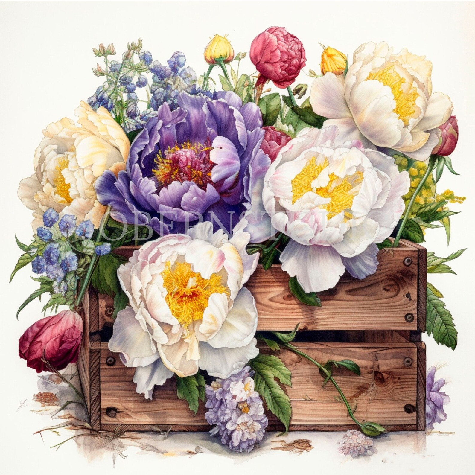 Box Flower Clipart Bundle 10 High Quality PNG, Watercolor Flower ...