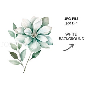 Green Flower Clipart Bundle 15 High Quality Png,watercolor Floral ...