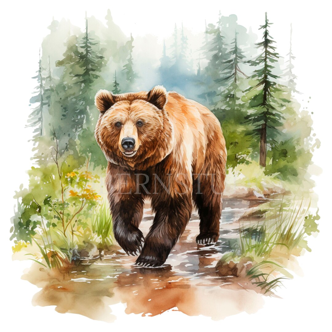 Brown Bear Forest Clipart Png,bundle 15 High Quality Jpg,digital ...