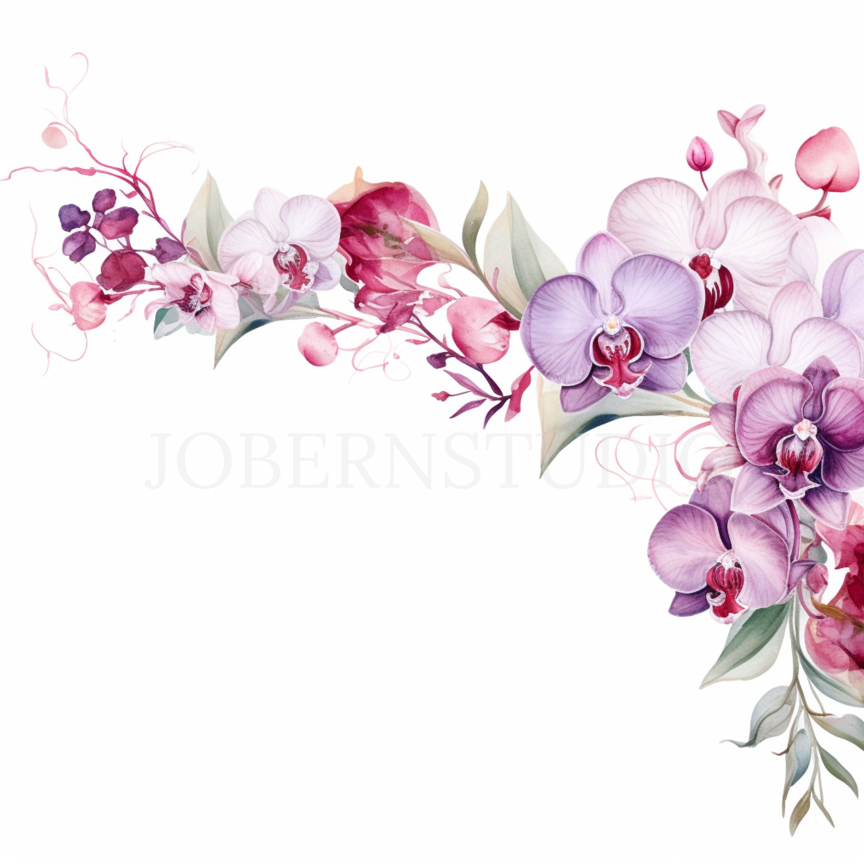 Orchid Garland Clipart Bundle 15 High Quality Png,watercolor Floral ...