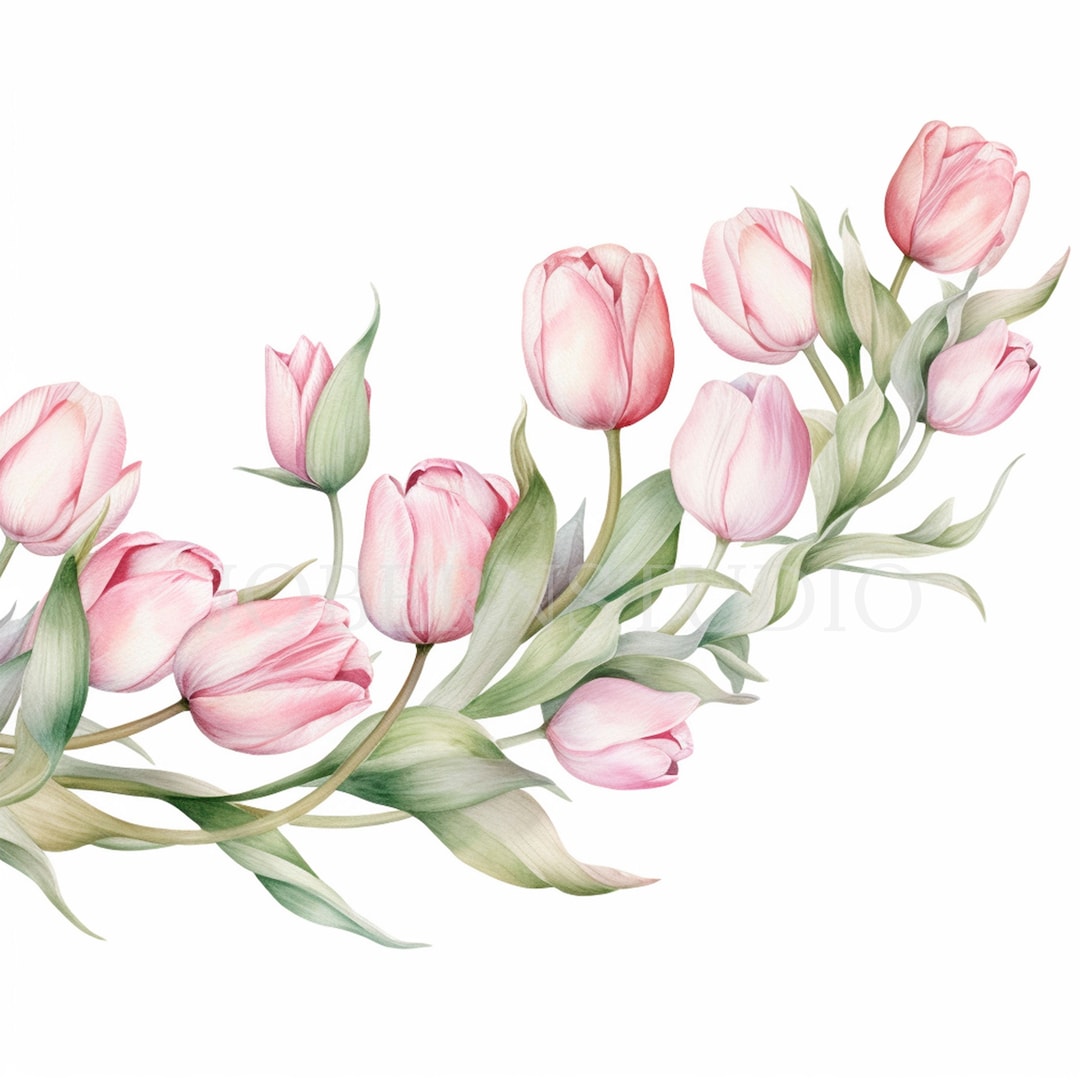 Tulips Flower Garland Clipart Bundle 15 High Quality PNG, Watercolor ...