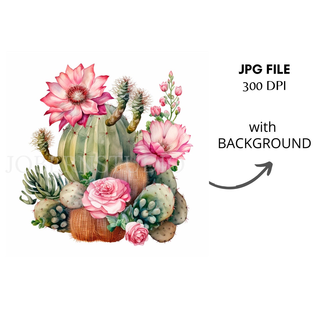Pink Cactus Clipart Bundle 10 High Quality JPG ,watercolor Home Decor ...