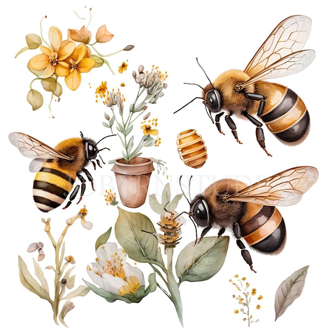 Bees and Honey Clipart PNG Bundle 13 High Quality JPG, Vintage Bee ...