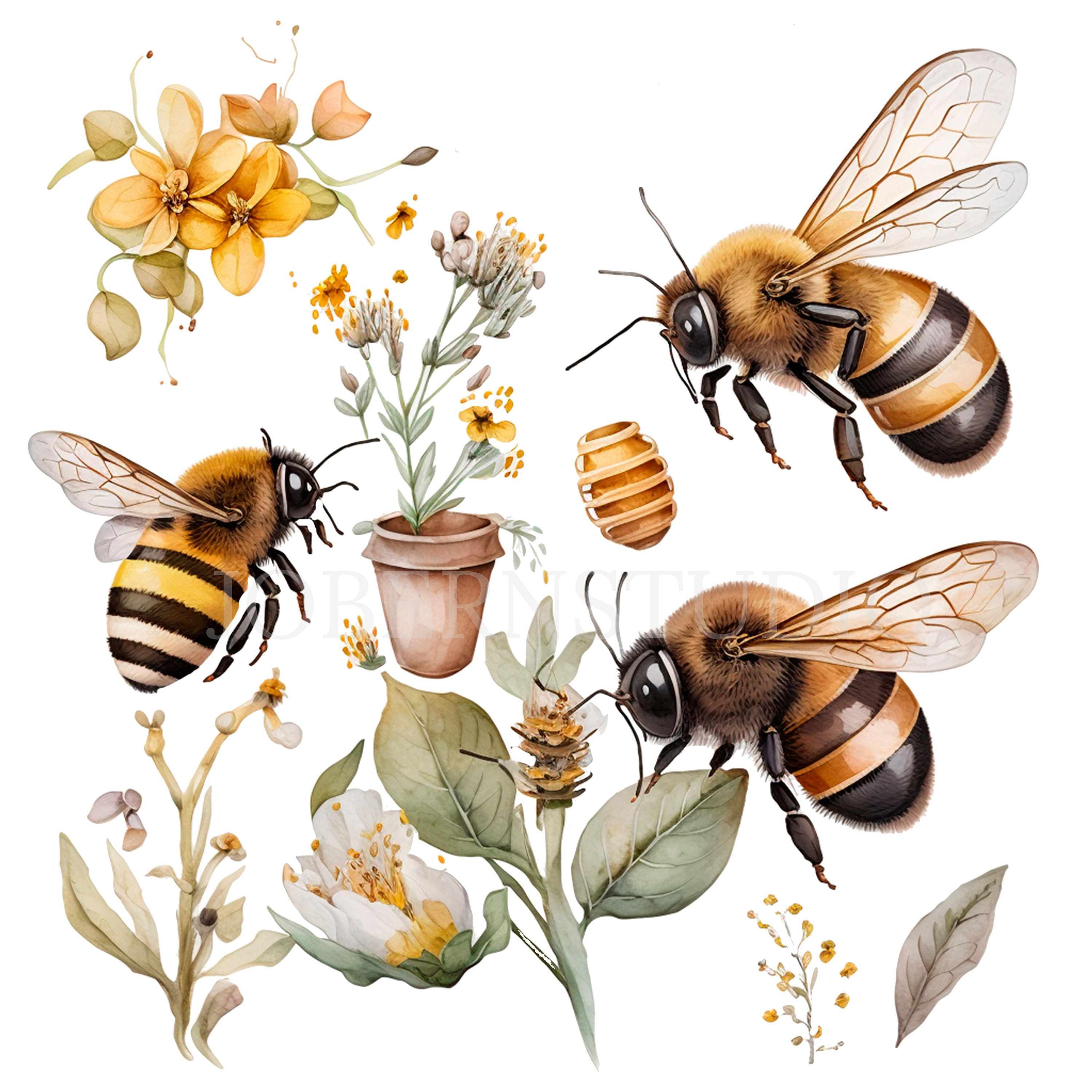 Bees and Honey Clipart PNG Bundle 13 High Quality JPG, Vintage Bee ...