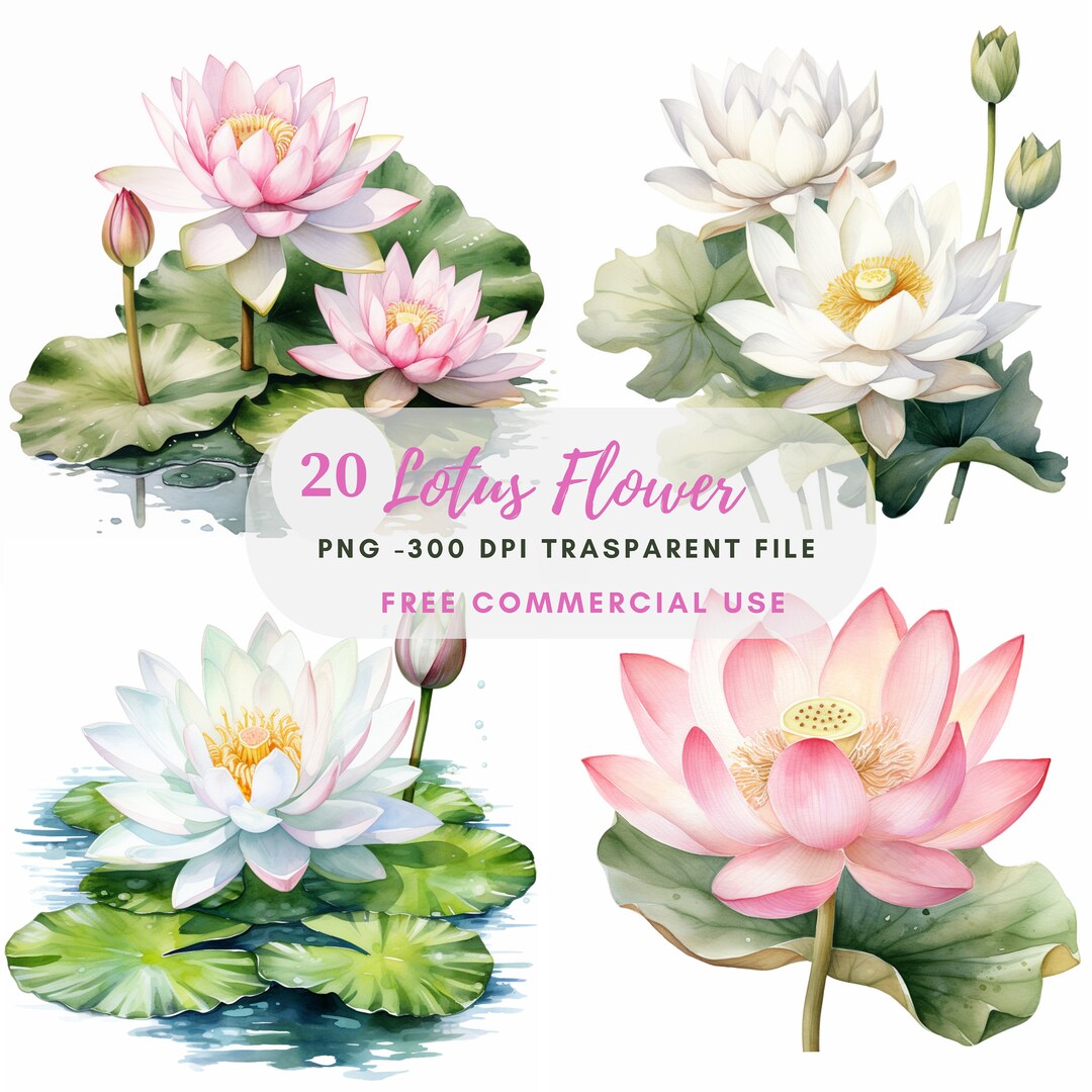 Lotus Flower Clipart Bundle 20 High Quality,watercolor Water Floral ...