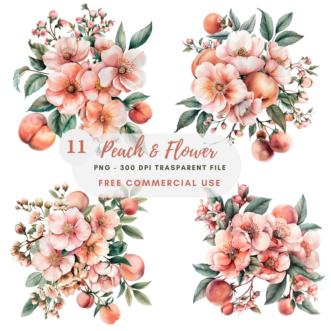 Peach Rose Branch Garland Clipart Bundle 11 High Quality, Watercolor ...