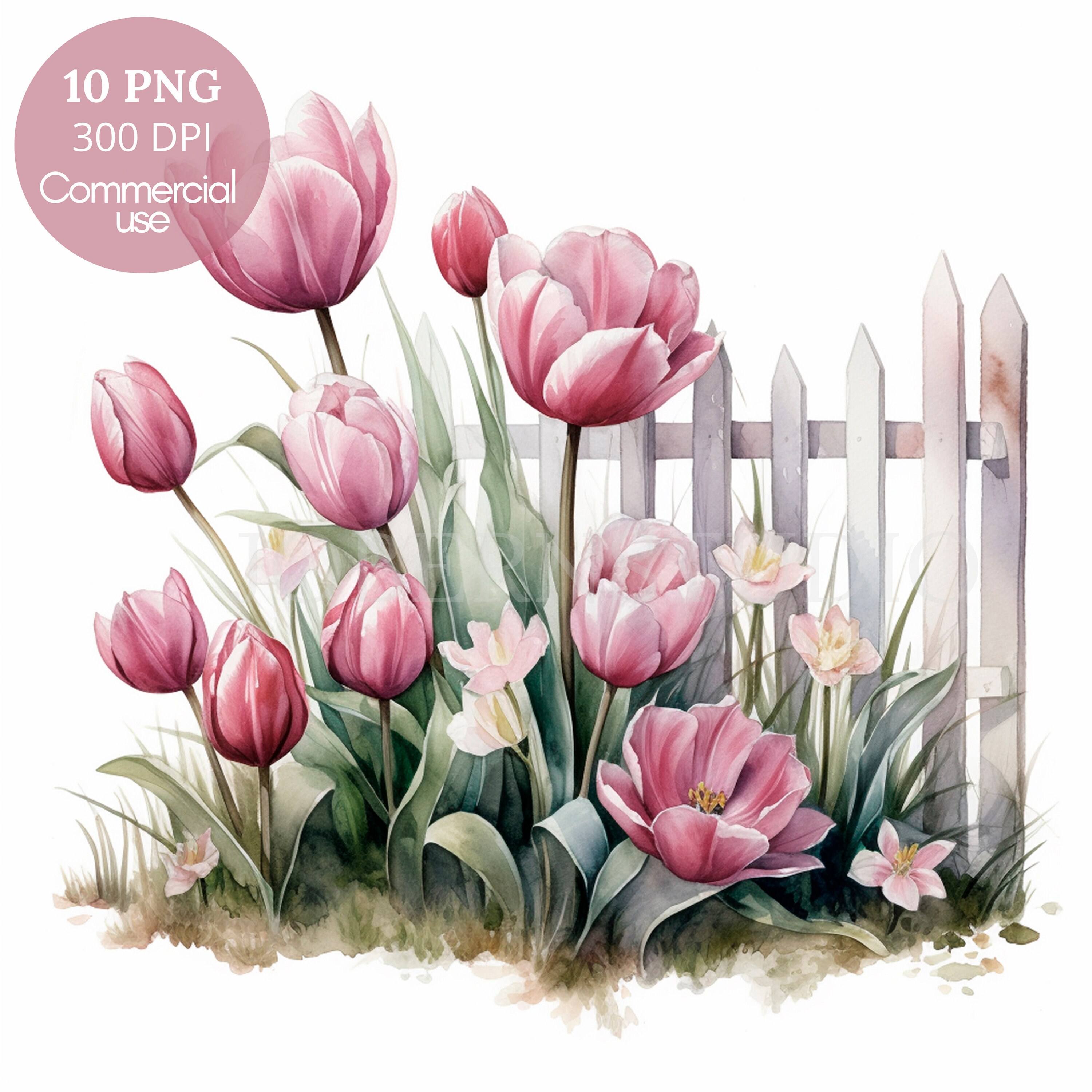 Tulips Flower Border Clipart Bundle 10 High Quality PNG, Watercolor ...