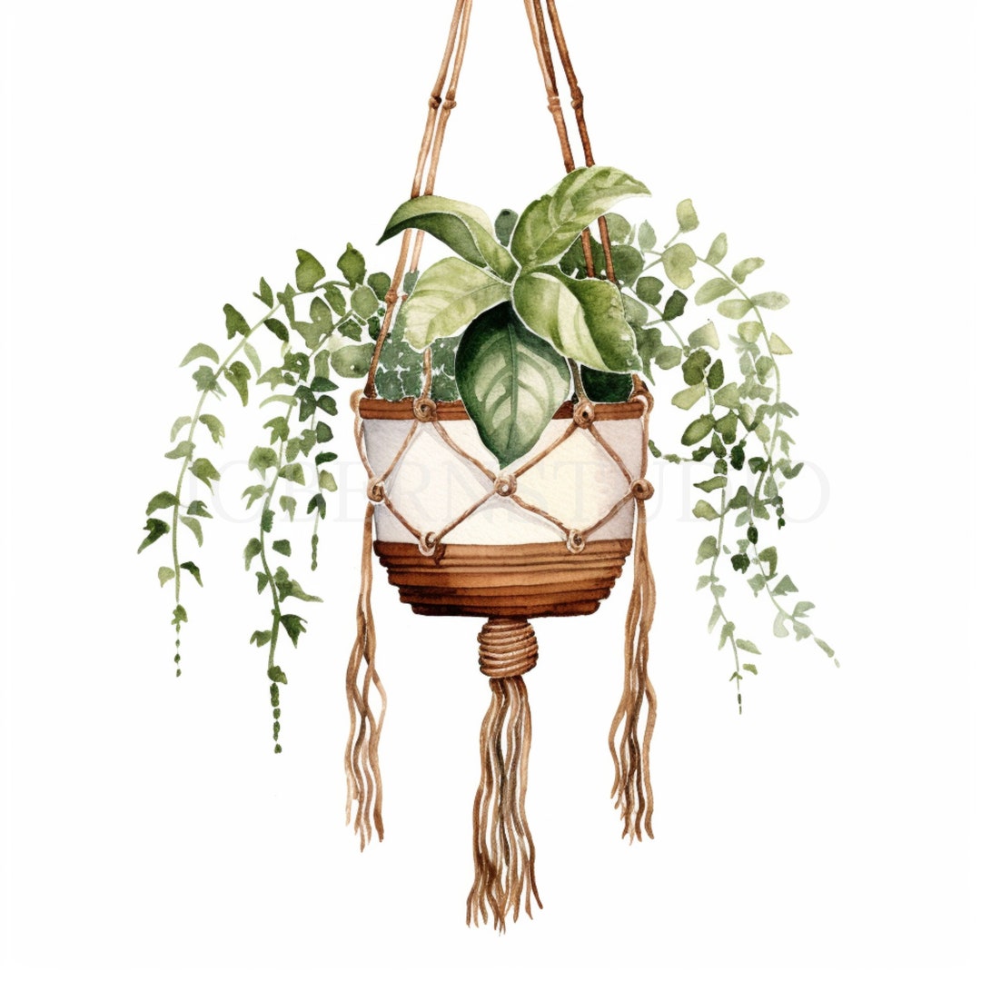 Hanging Plants Clipart Bundle 10 High Quality Png,watercolor Floral ...