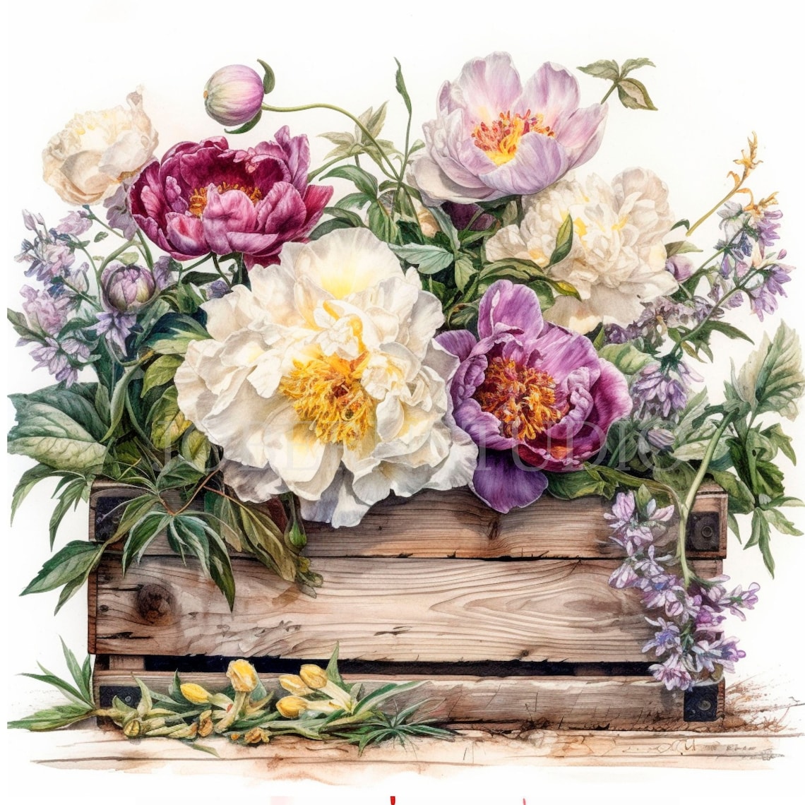 Box Flower Clipart Bundle 10 High Quality PNG, Watercolor Flower ...