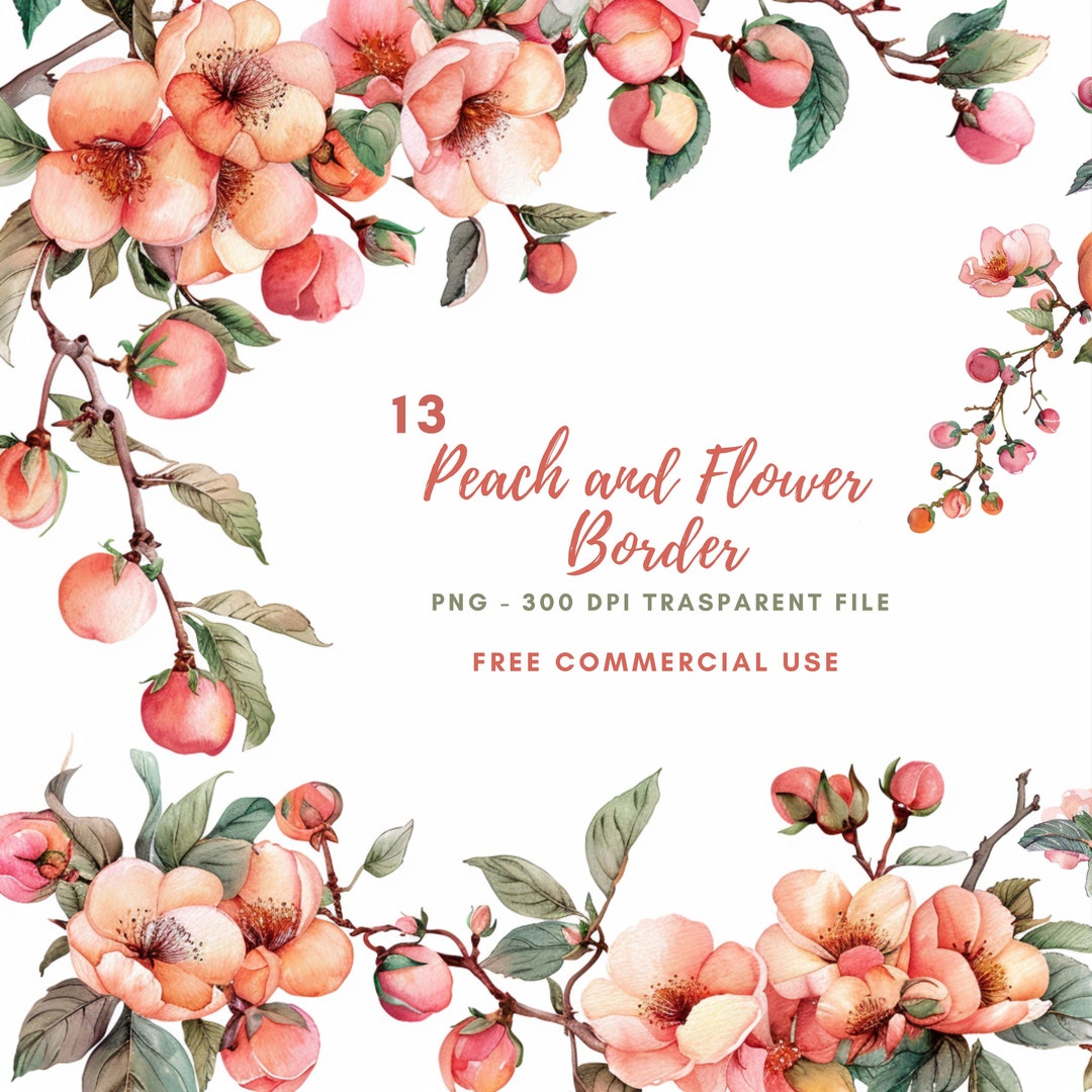 Peach Flower Garland Clipart Bundle 13 High Quality Png,watercolor ...