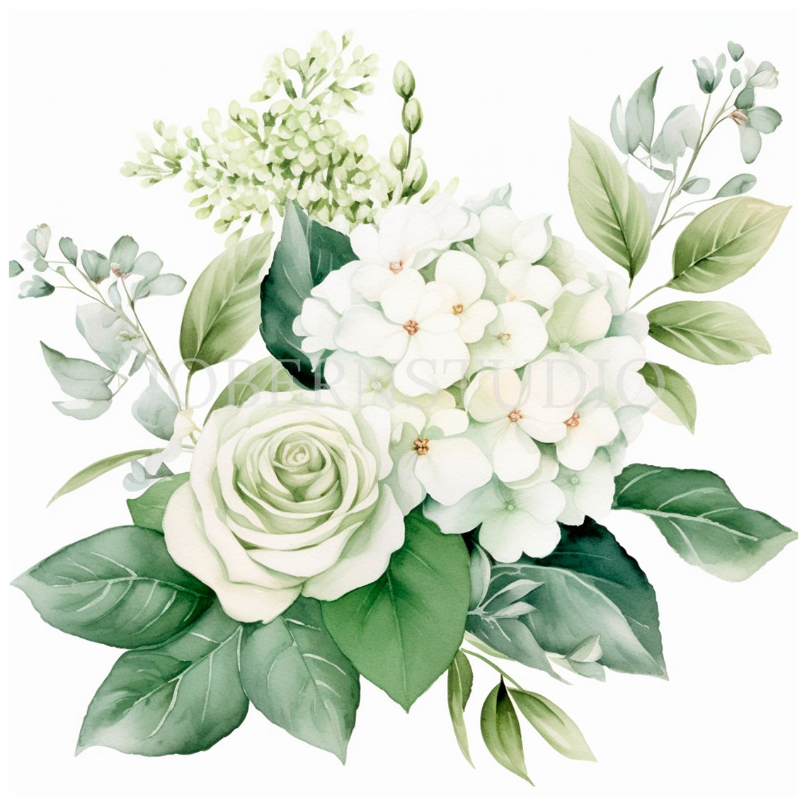 White Hydrangea Clipart Bundle 15 High Quality Png,watercolor Flower Border, Stickers,digital ...