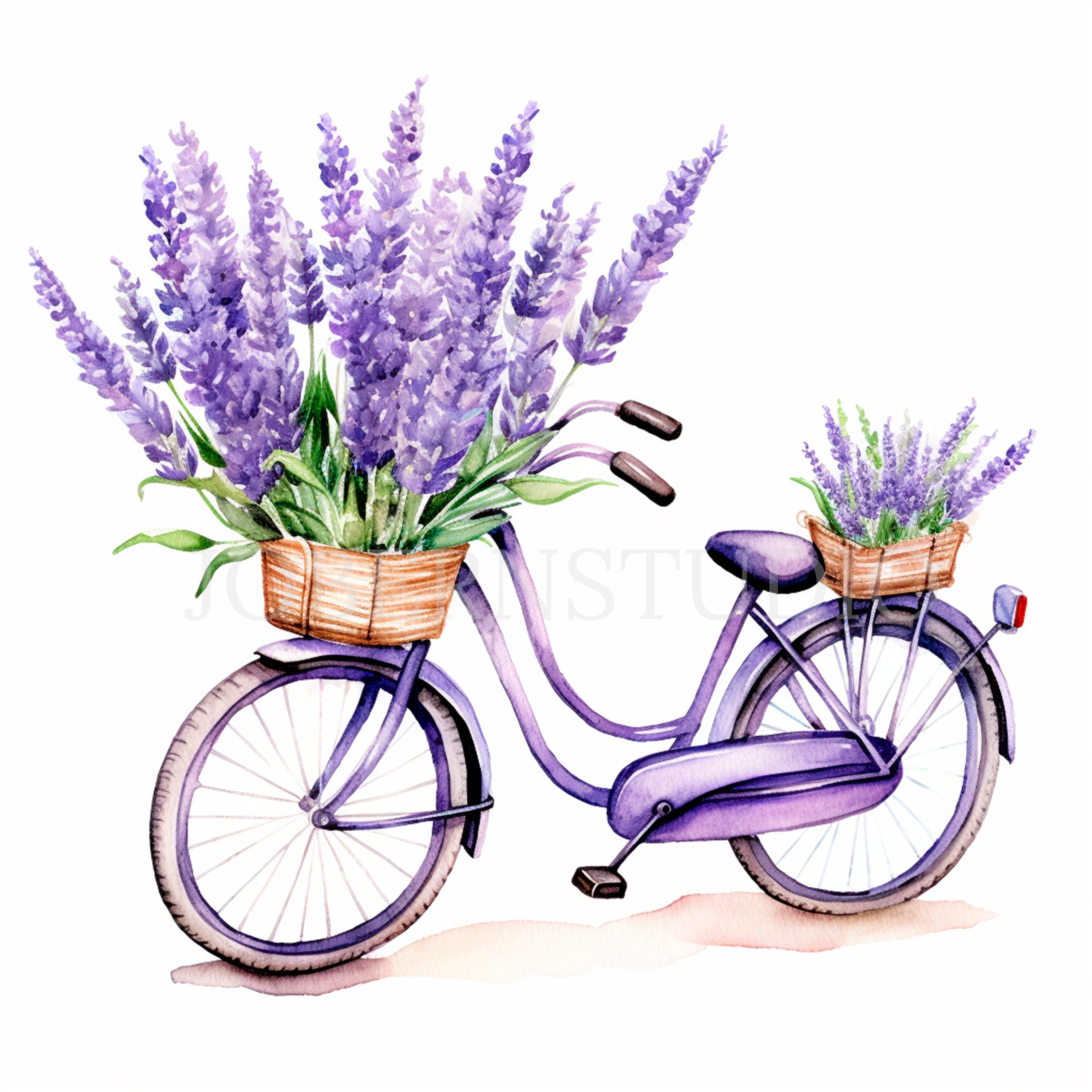 Lavender Clipart Bundle 17 High Quality Png,watercolor Flower Provence ...