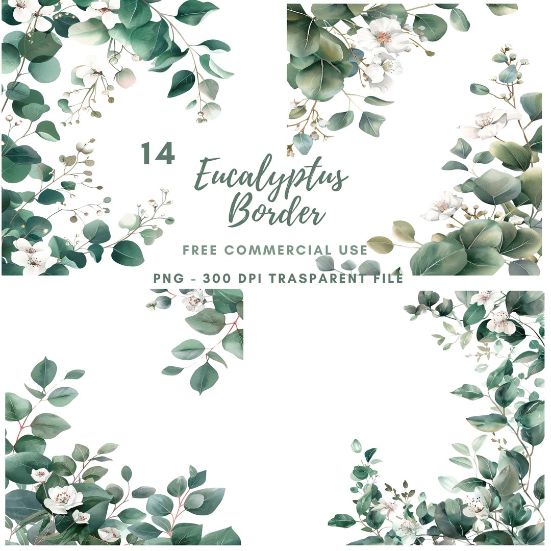 Eucalyptus Border,garland Clipart Bundle 14 High Quality Png,watercolor ...