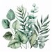 Green Leaves Bouquet Clipart Bundle 10 High Quality Png,watercolor ...