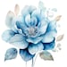 Blue Flower Clipart Bundle 10 High Quality PNG, Watercolor Floral ...