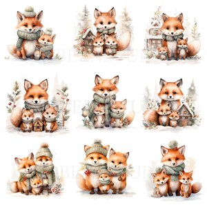 Woodland Family Animal Clipart Png,fox Bundle 15 High Quality Jpg ...
