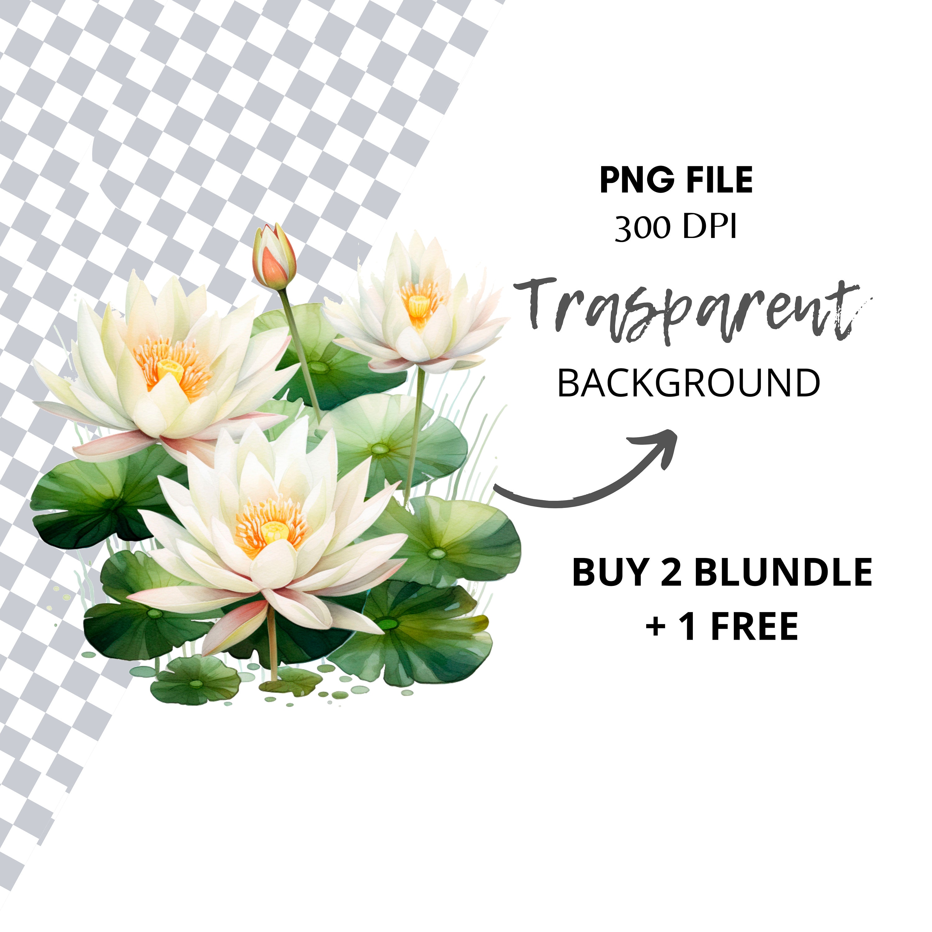 Lotus Flower Clipart Bundle 20 High Quality,watercolor Water Floral ...