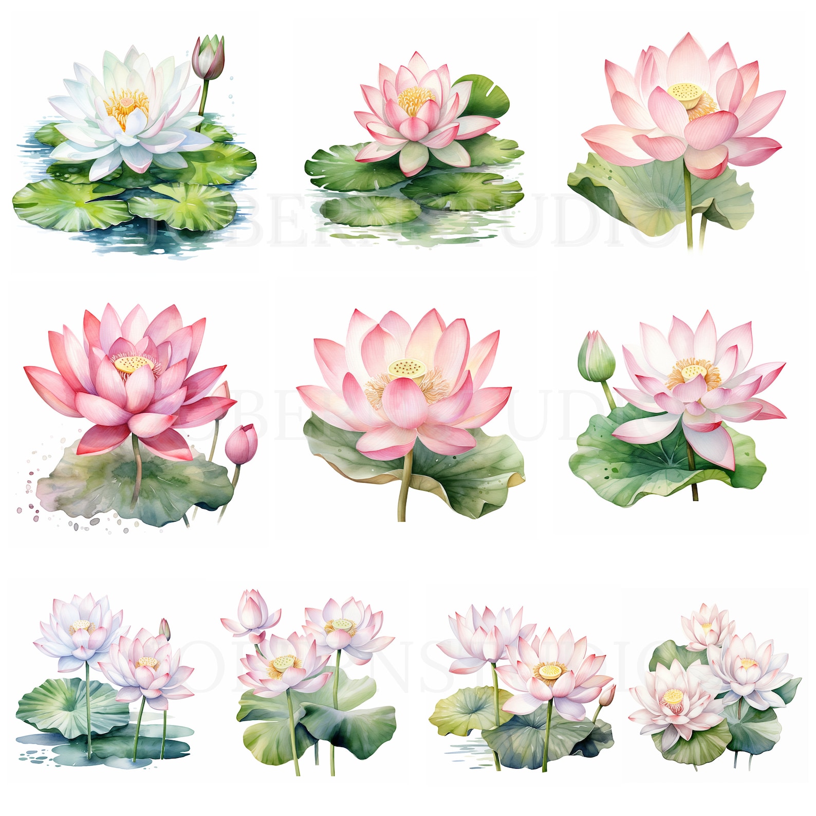 Lotus Flower Clipart Bundle 20 High Quality,watercolor Water Floral ...