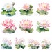 Lotus Flower Clipart Bundle 20 High Quality,watercolor Water Floral ...