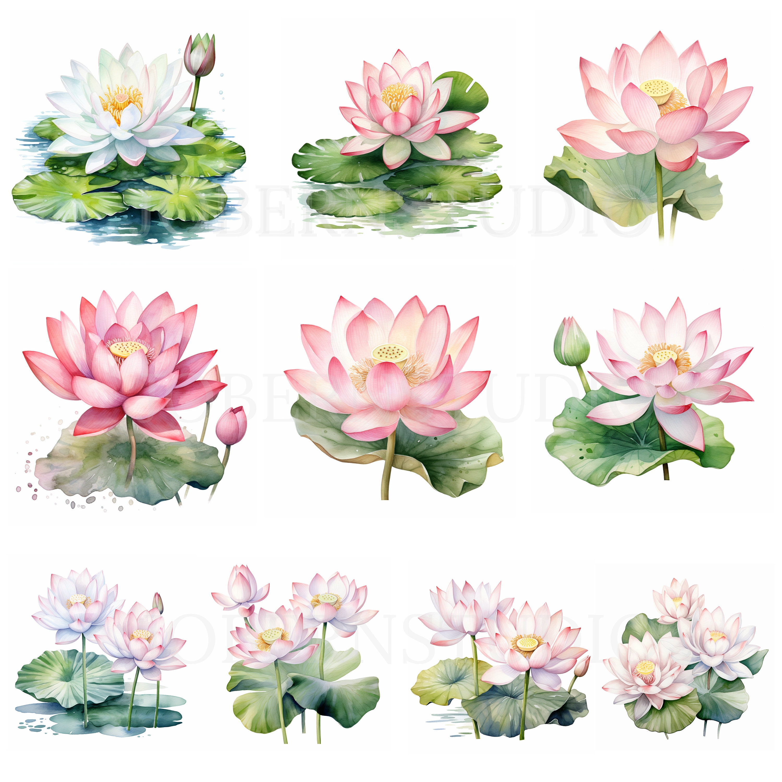 Lotus Flower Clipart Bundle 20 High Quality,watercolor Water Floral ...