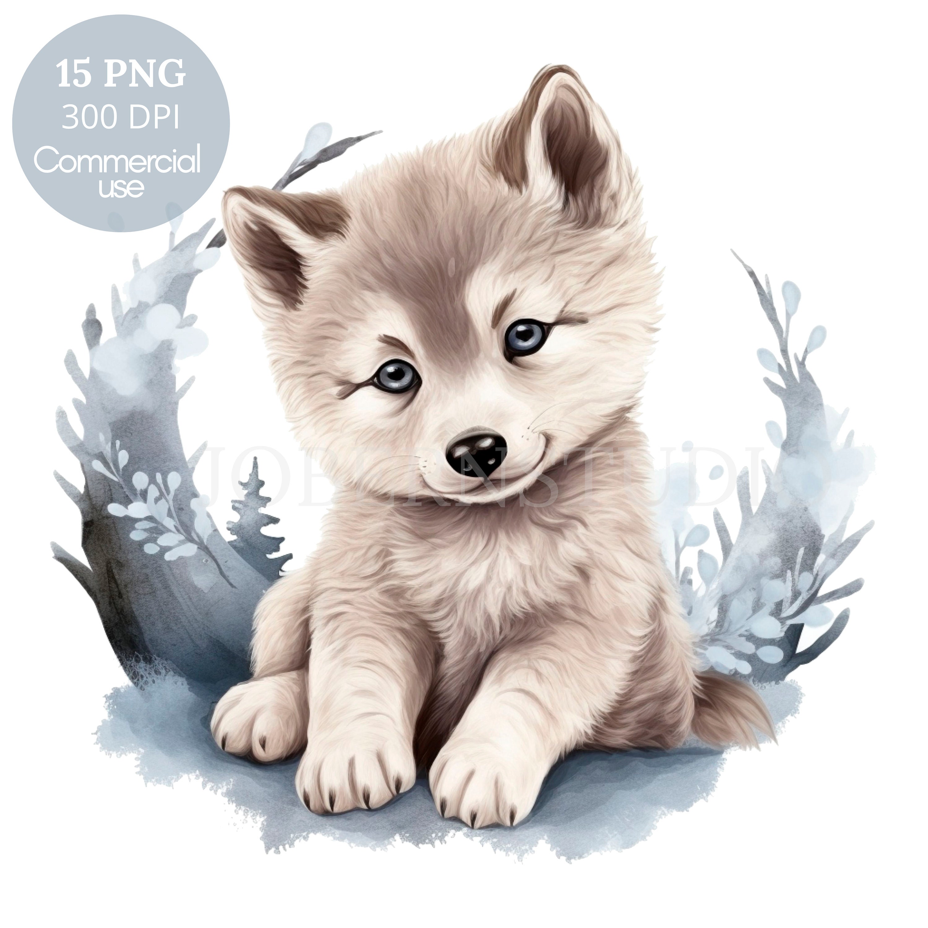 Winter Baby Wolf Clipart Png,bundle 15 High Quality Jpg,digital ...