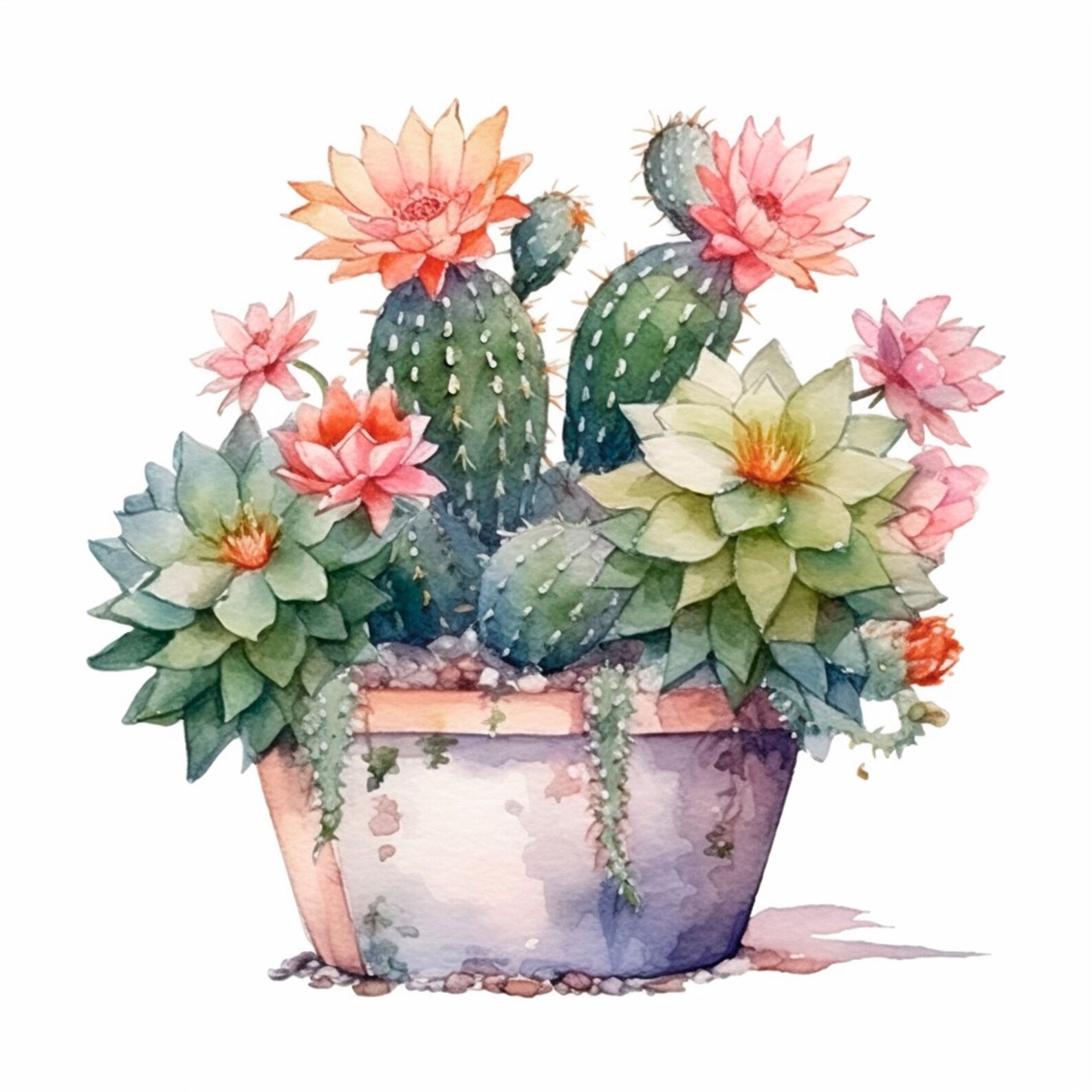 Cactus Plants Clipart Bundle 12 High Quality Png,watercolor Succulent ...