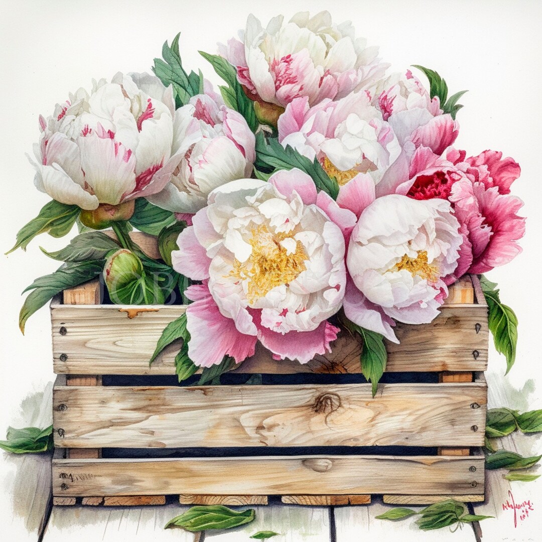 Box Flower Clipart Bundle 10 High Quality PNG, Watercolor Flower ...