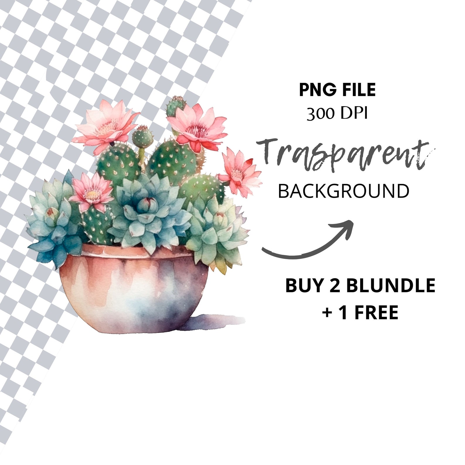 Cactus Plants Clipart Bundle 12 High Quality Png,watercolor Succulent ...
