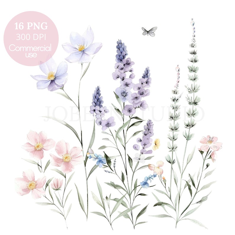 Muted Wild Flower Border Clipart Bundle 16 High Quality Png,watercolor ...