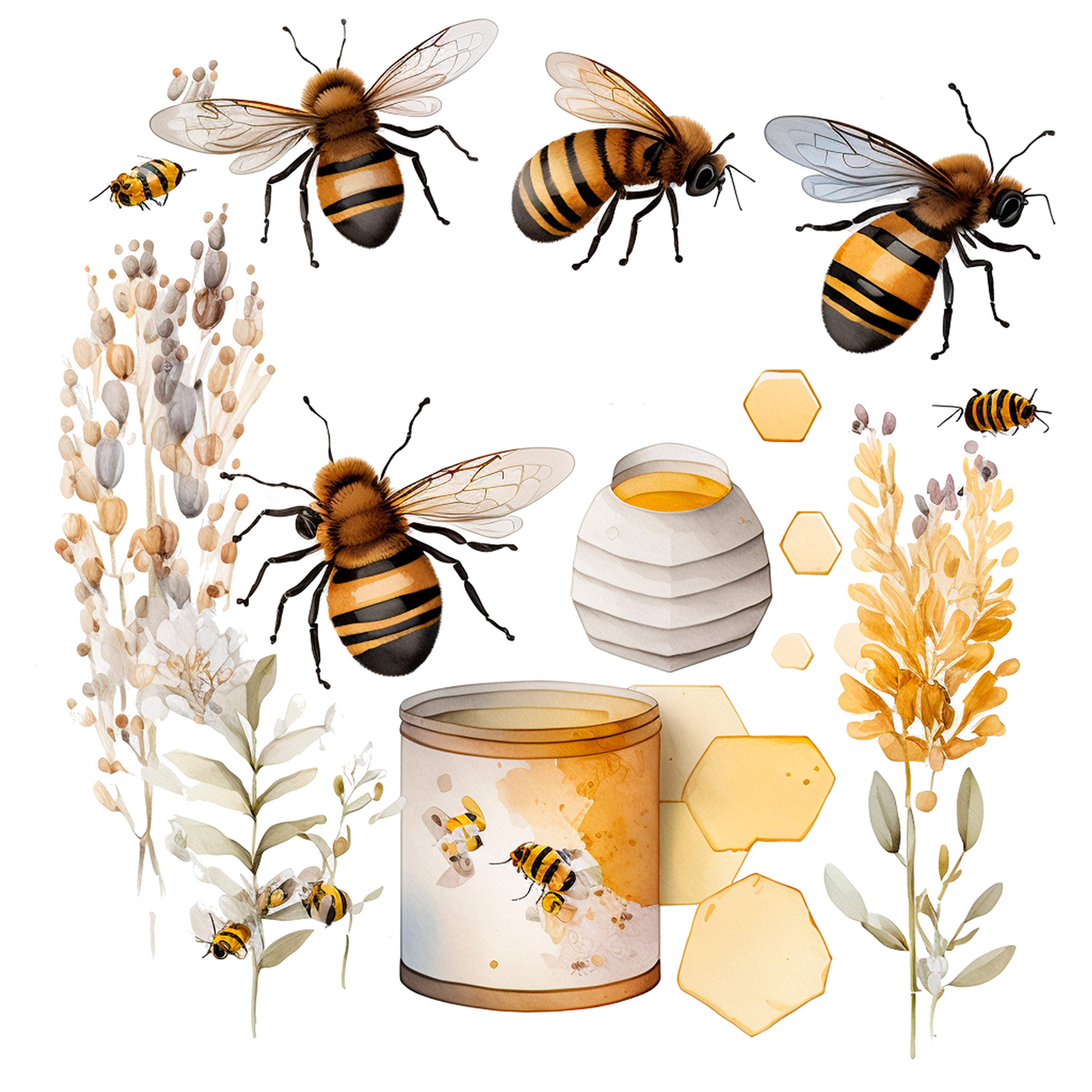 Bees and Honey Clipart PNG Bundle 13 High Quality JPG, Vintage Bee ...
