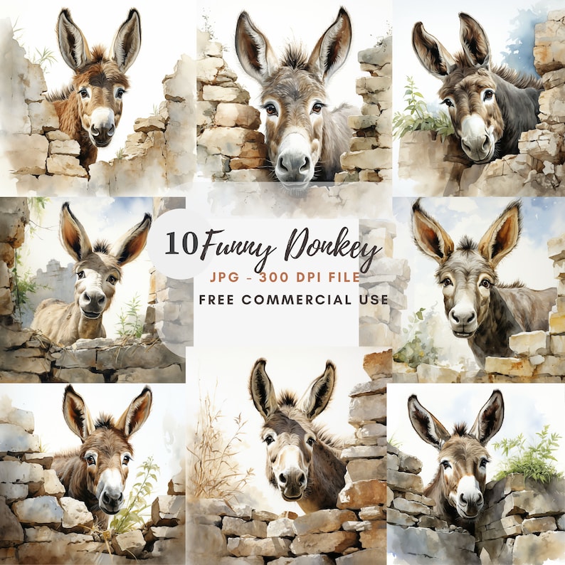 Donkey Clipart Bundle 10 High Quality Jpgs,watercolor Donkey Digital ...