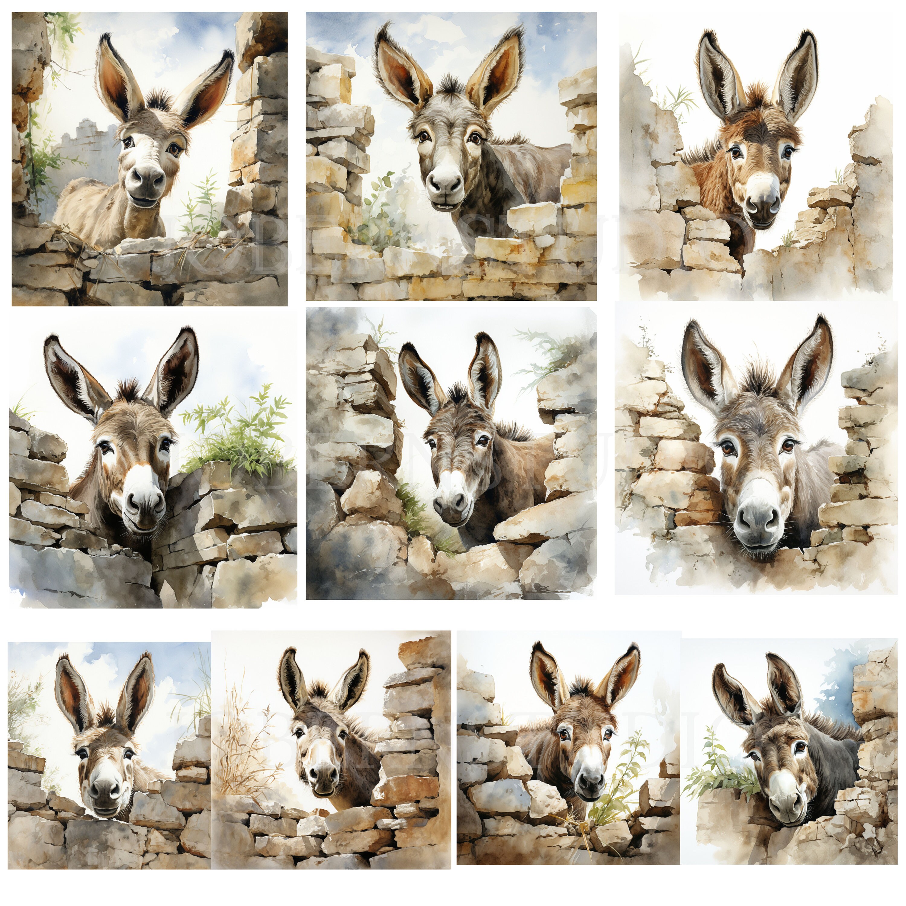 Donkey Clipart Bundle 10 High Quality Jpgs,watercolor Donkey Digital ...