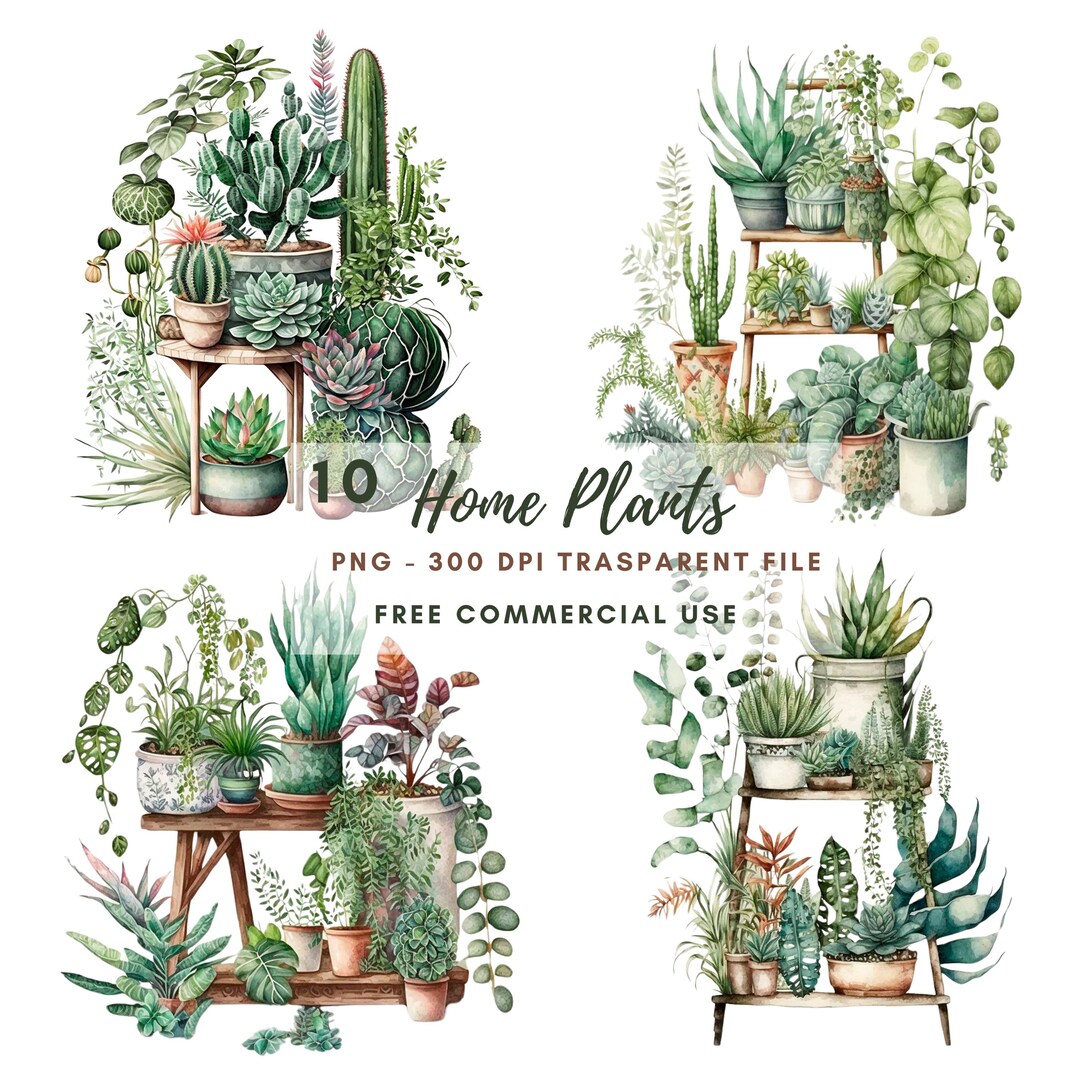 Plants Clipart Bundle 10 High Quality Png,watercolor Plants Home Decor ...