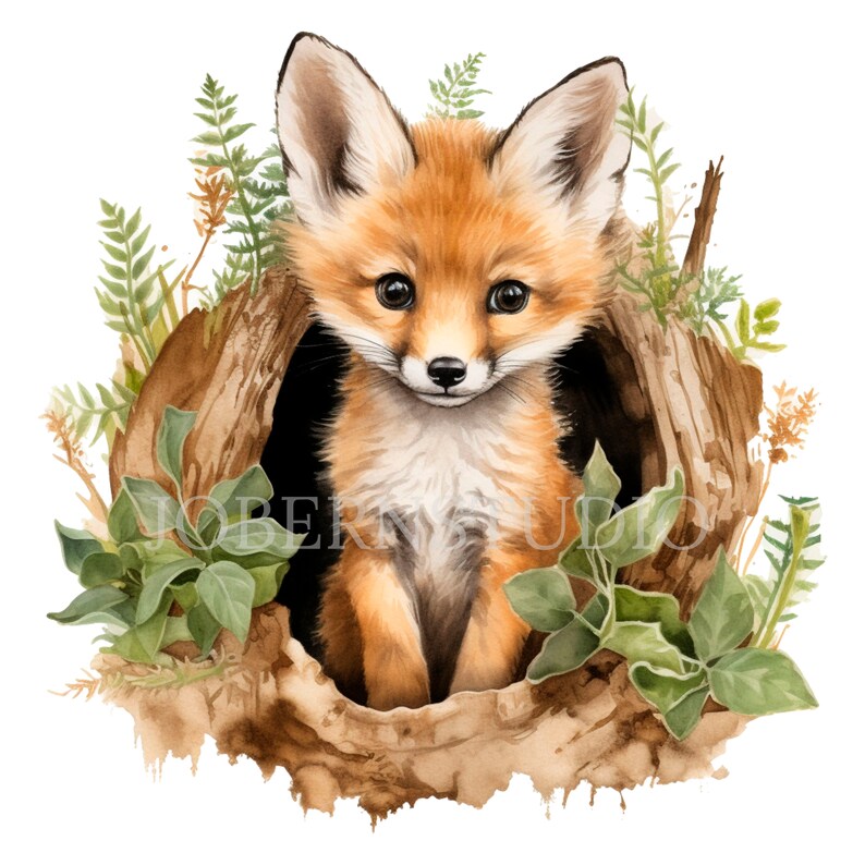 Baby Fox in Den Clipart Png,bundle 15 High Quality Jpg,digital Download ...